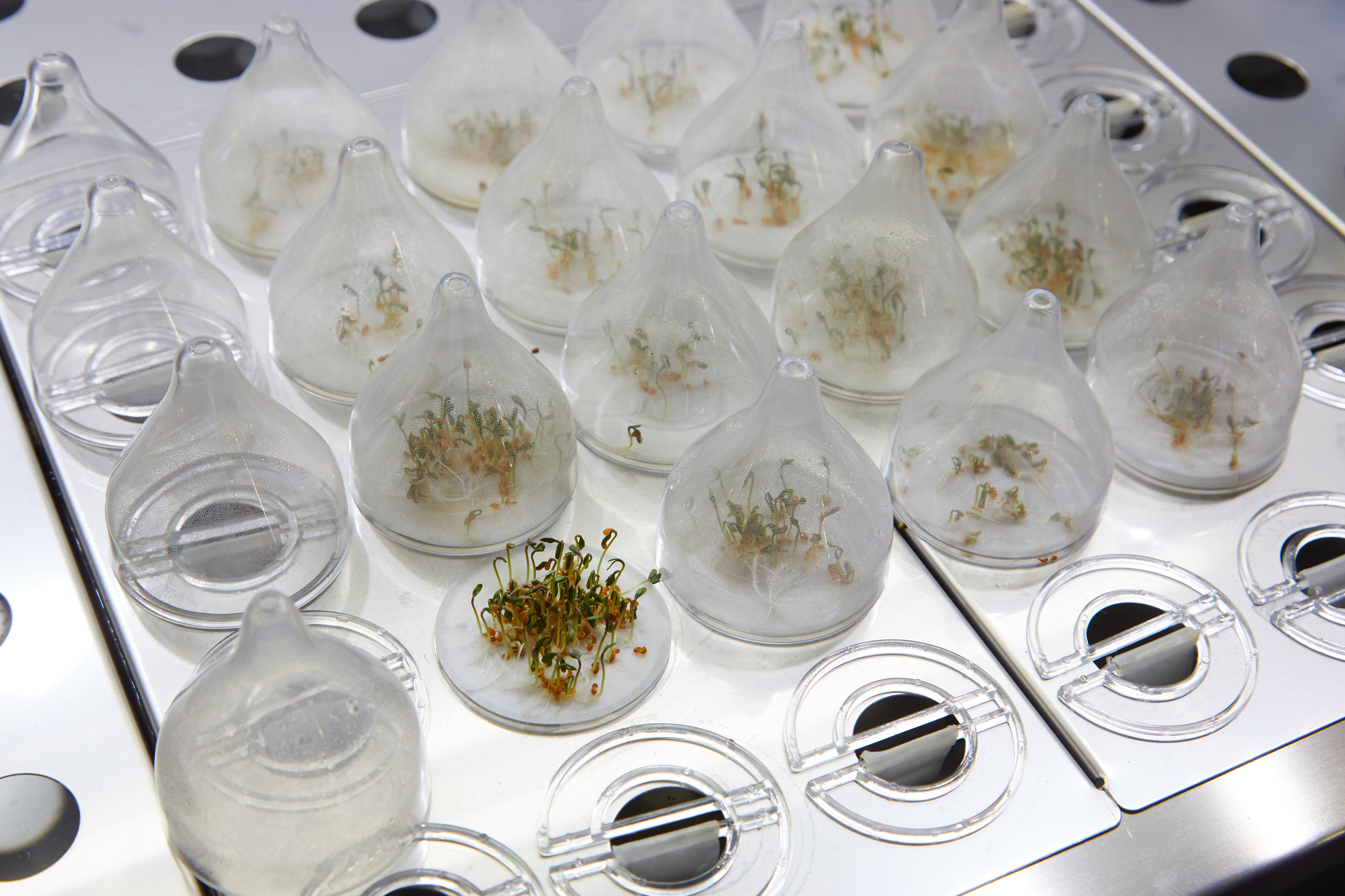 Laboratory and Analytical Techniques - ACHEMA